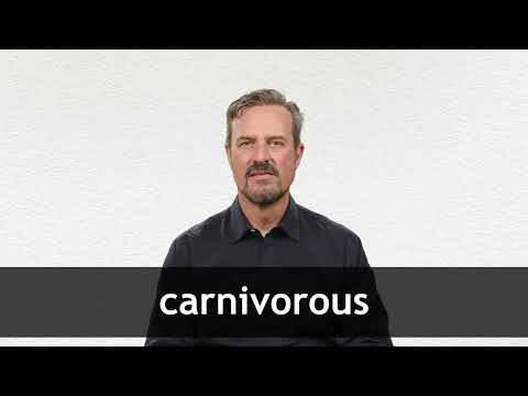 CARNIVOROUS definition and meaning | Collins English Dictionary