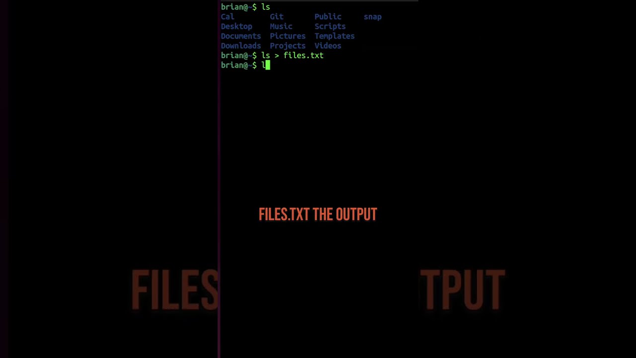 Master Linux Bash Redirection Like a Pro