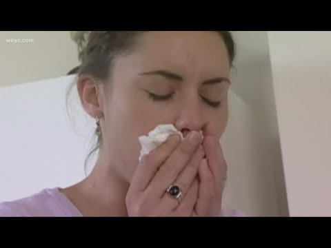 The difference between cold, COVID, flu and allergies