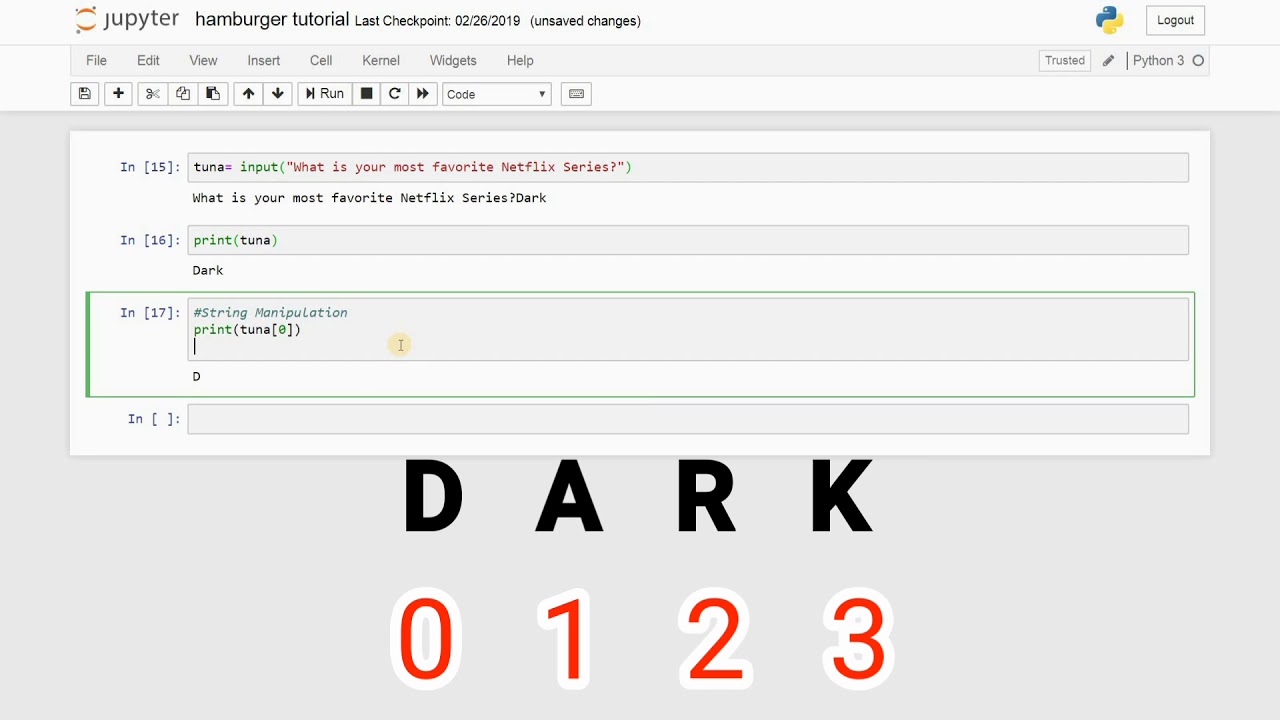 Python with Jupyter Notebook Tutorial - String Manipulation (HD) Part 4