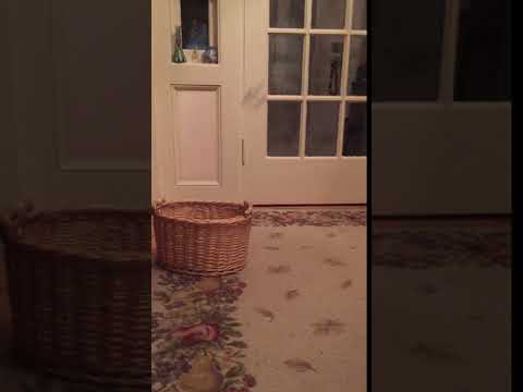 Taking out the Trash – Daniel Neuwirth Physics Scrapbook