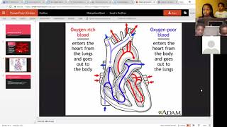 Live Lesson #3: Making Good Blood