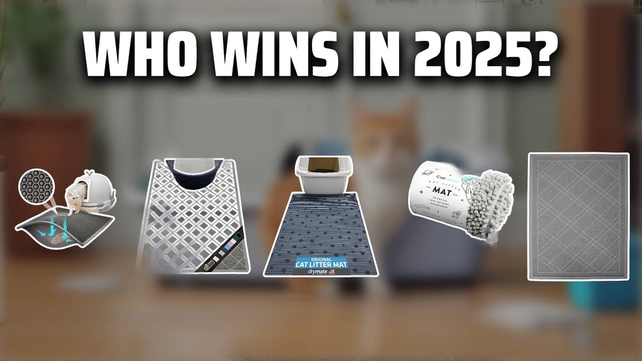 The Top 5 Best Litter Box Mats in 2025 - Must Watch Before Buying!