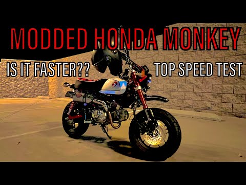 MODDED HONDA MONKEY! IS IT FASTER?? (TOP SPEED TEST)