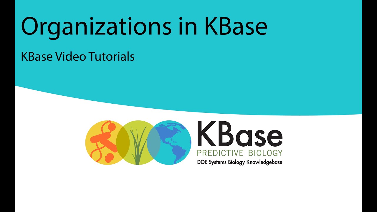 KBase Orgs Guide