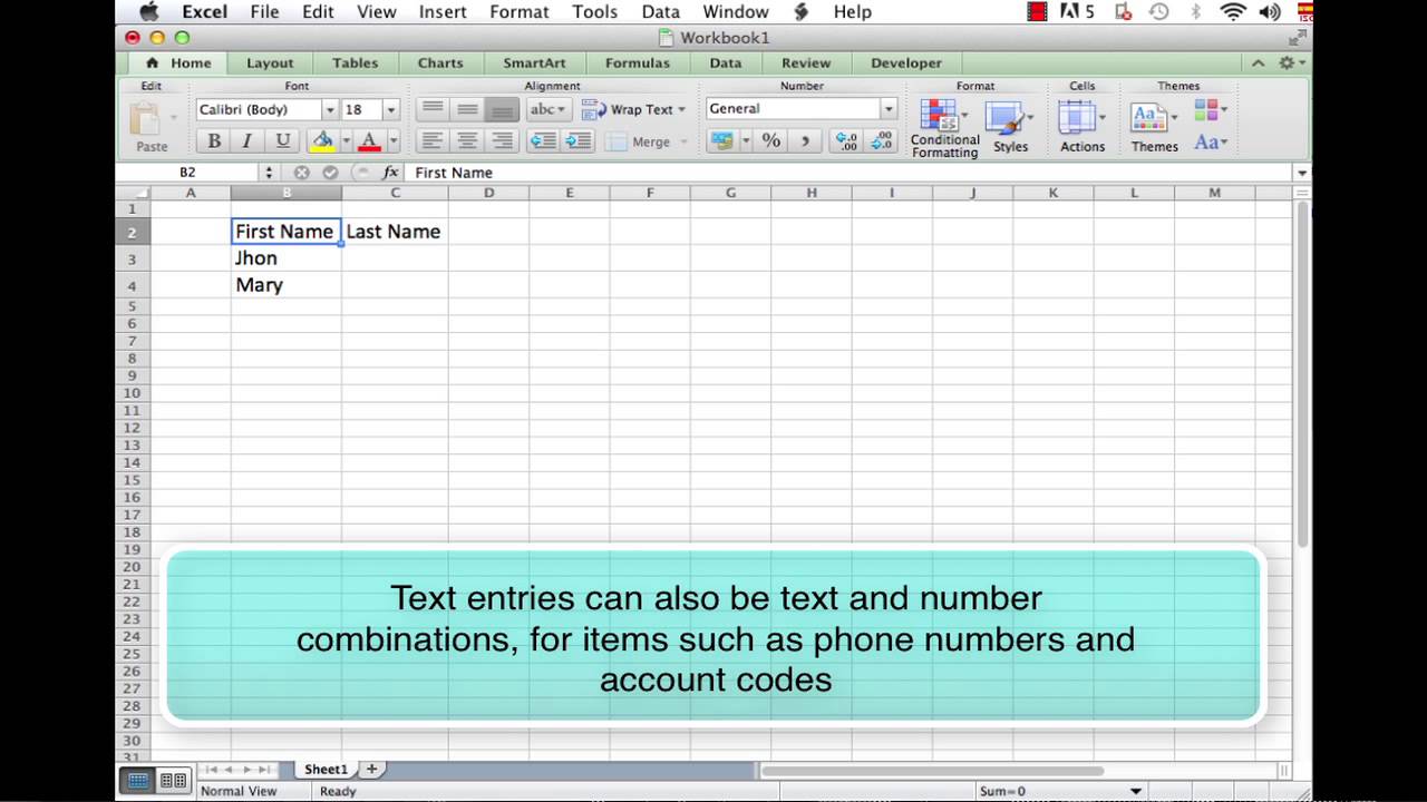 Enter Text in Microsoft Excel: Excel MOOC