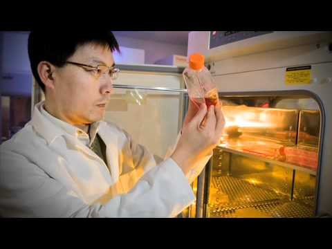Virginia Tech: Graduate School Research