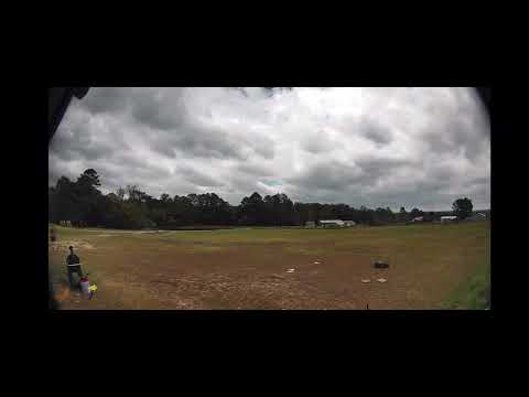 Alabama State Bird Takes Off!