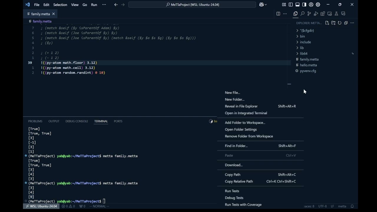 03 MeTTa LANGUAGE - Python Integration