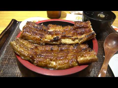 $40 Unagi Rice Bowl: Is it worth it?
