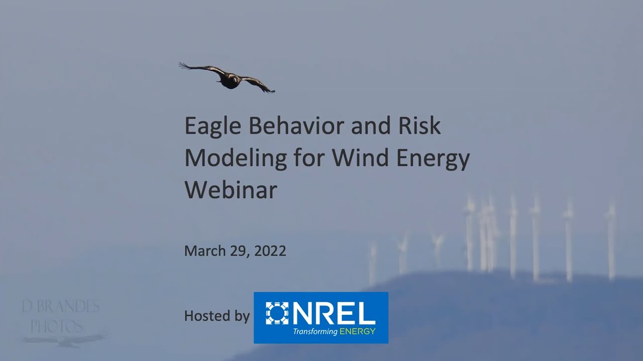 SSRS: GitHub Overview & Step-by-Step Walkthrough