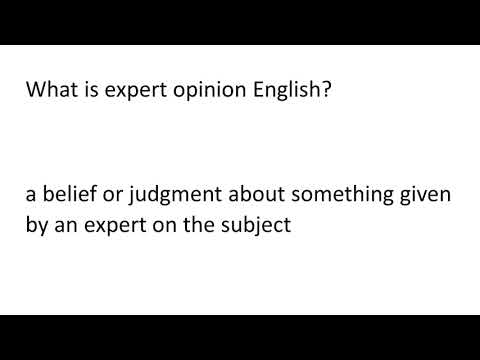 What is expert opinion English?
