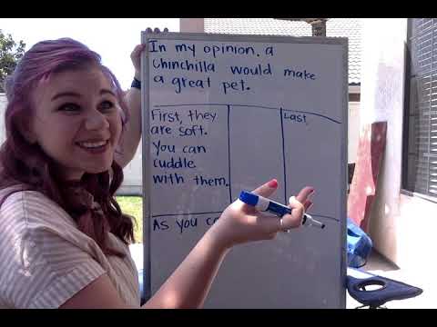 Best Pet Graphic Organizer