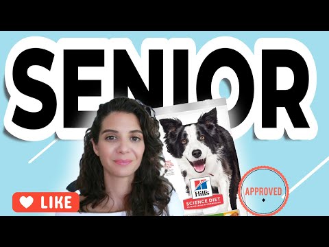 Search for the best senior dog food: Science Diet Senior 7+ review