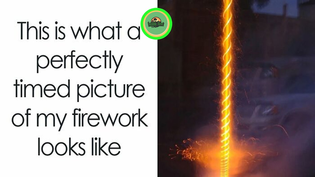 Random Memes That Are Surprisingly Funny