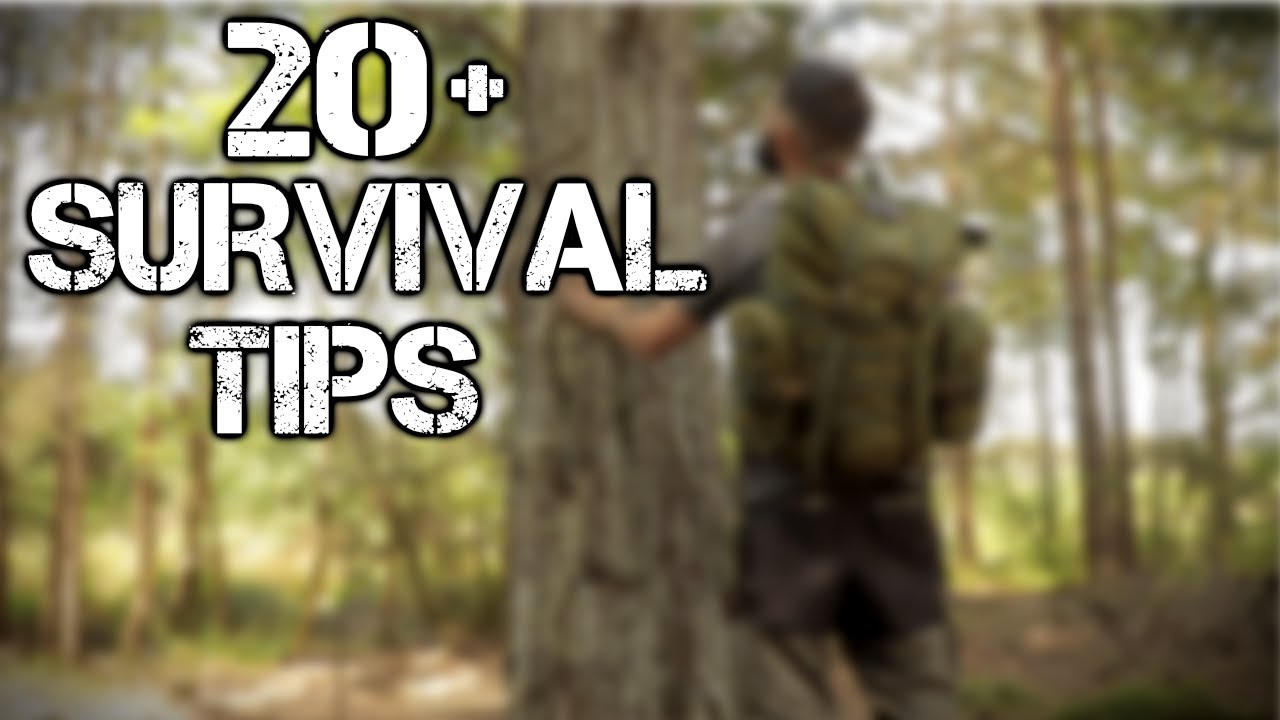 20 Essential Wilderness Survival Tips and Bushcraft Skills | Galaxy.ai