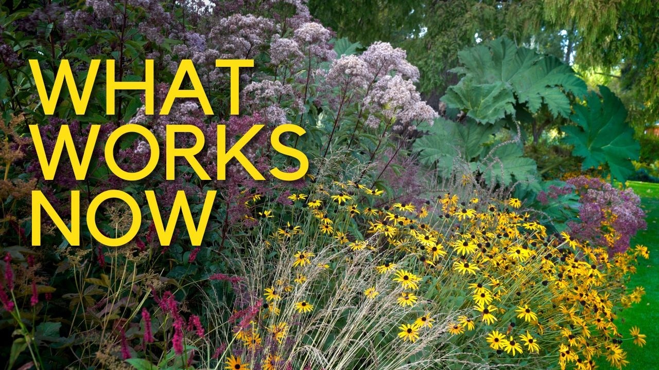 The Simple Beth Chatto Rules That Transform Any Garden