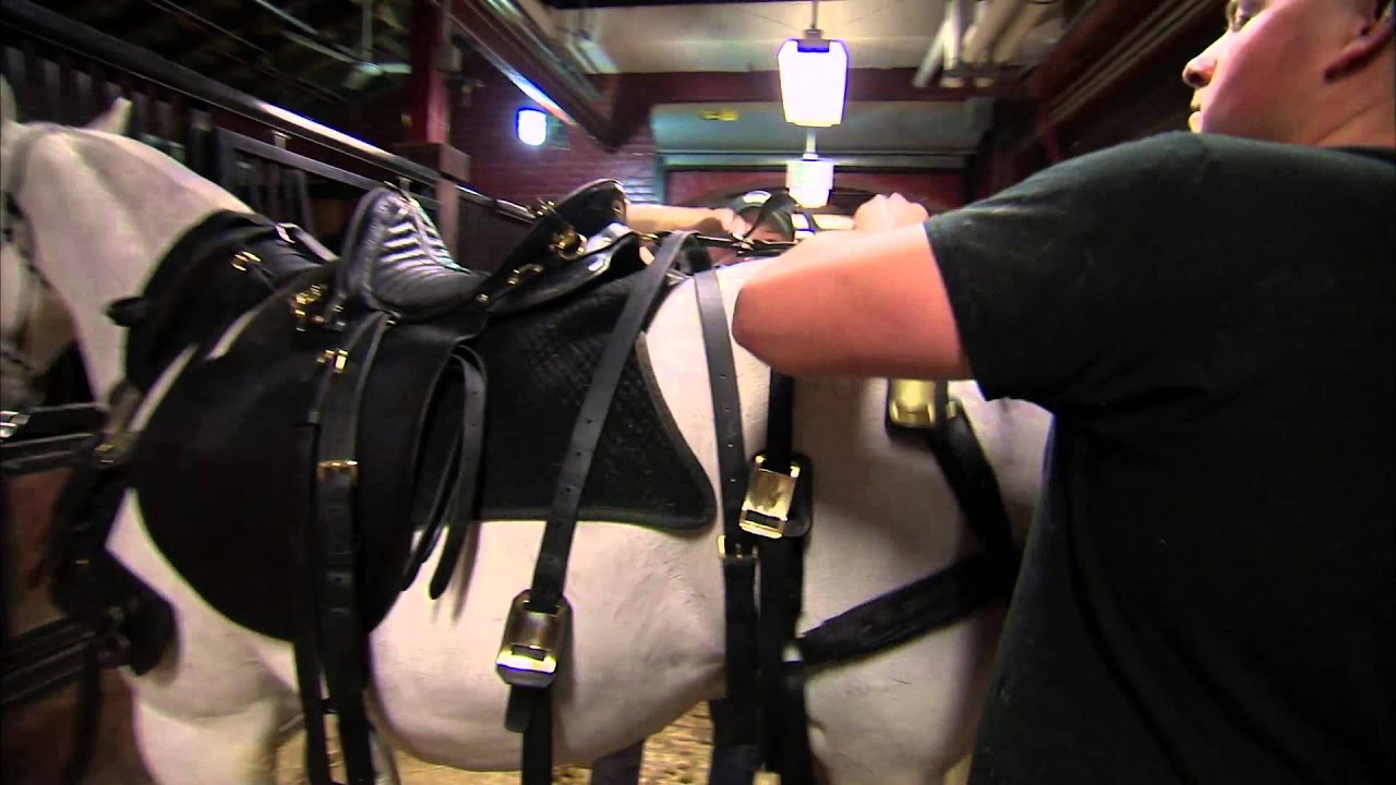Craft in America Craft in America - William Daley