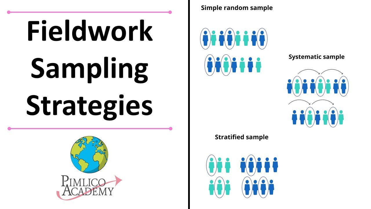 Fieldwork Sampling Strategies