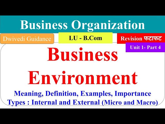 Understanding the Business Environment: Key Factors and Impacts | Galaxy
