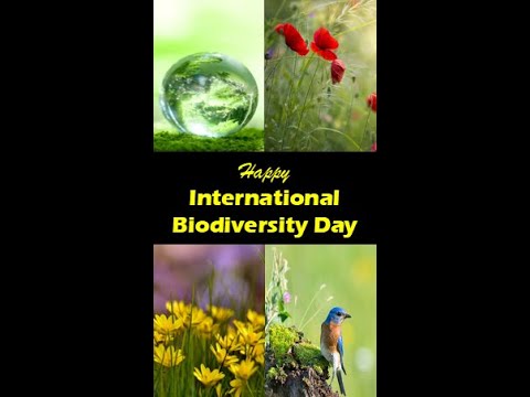 International Day For Biological Diversity Status |World Biodiversity Day Status #shorts