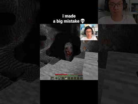Minecraft Smile Moment