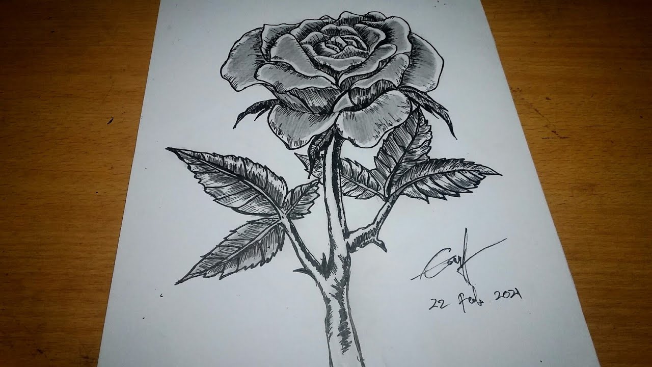 Drawing a Rose Flower (3D) || Menggambar Bunga Mawar (3D) || (Hitam Putih)
