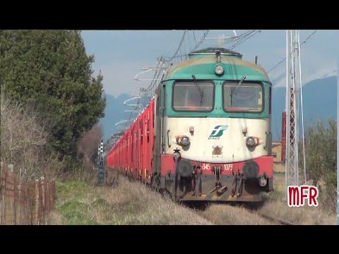 Linea Pisa - Collesalvetti - Vada: D345.1073 in testa alla TRADOTTA di BISARCHE per "IL FALDO".