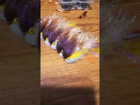 Streamer Sunday. #flyfishing #fly tying #streamer #fishing