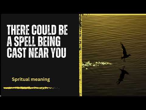What Does It Mean When Bird Chirp At Night? - LIQUIDS & SOLIDS SPIRIT