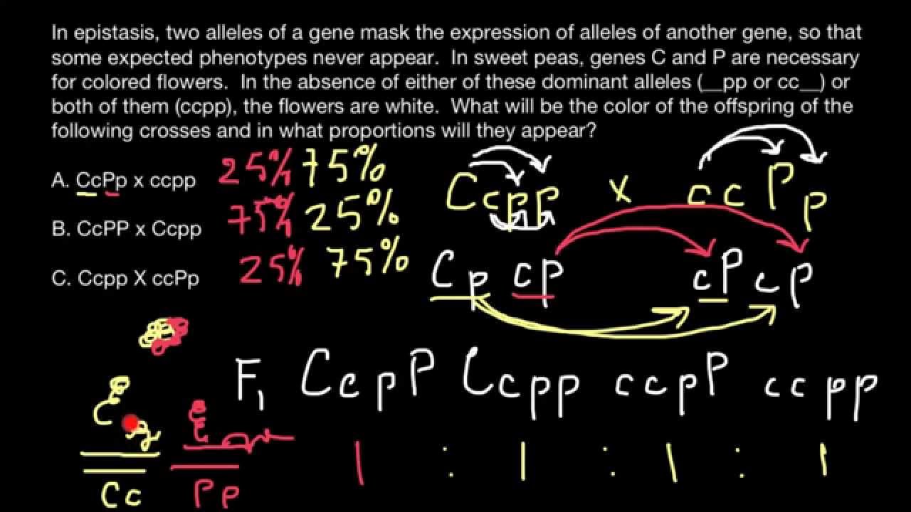 How to Analyse and Solve Genetics Problems - it is VERY EASY