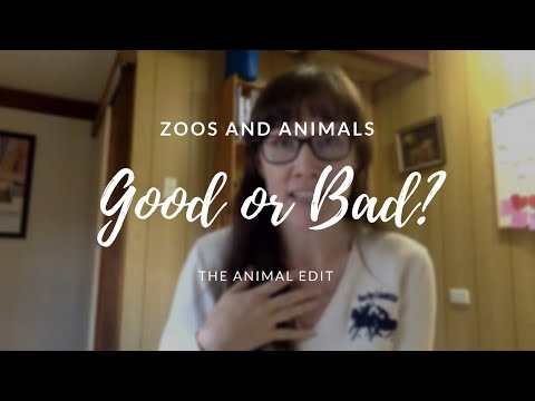 Are zoos good or bad for animals? | #SSSVEDA Day 7