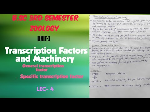 Transcription Factor and Machinery// General Transcription Factor// Specific Transcription Factor