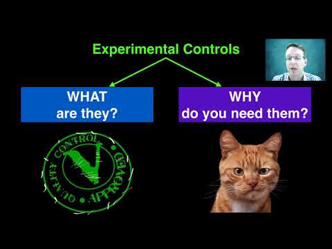 Controlled Variables and Experimental Controls