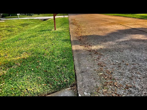 HOW TO EDGE WITH A WEED EATER/STRING TRIMMER (COMO HACERLE LA EDGE AL PASTO CON LA WIRA)