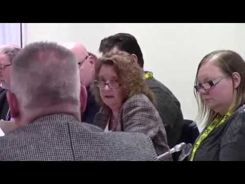 Fife Council Executive Meeting - 24th January - Lochore Meadows (Hiss reduction)