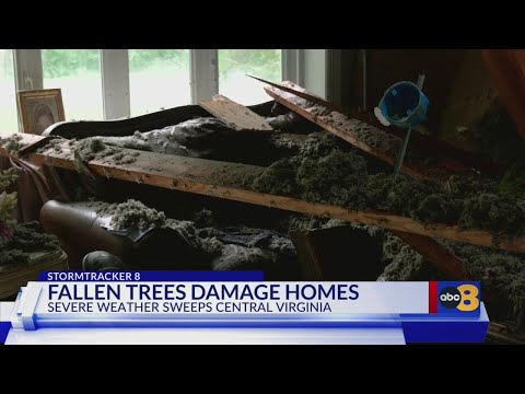 'Lucky to be alive': Storm topples trees into multiple Central Virginia homes