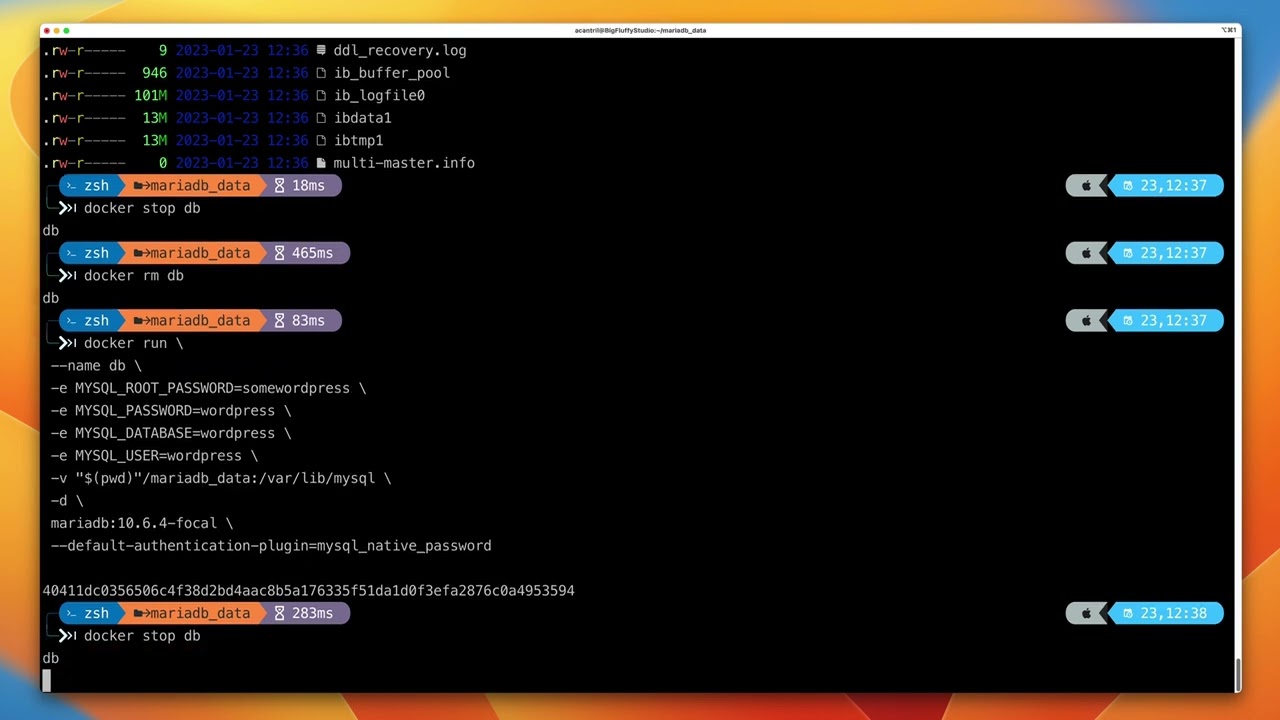 Free Docker Fundamentals Course - [DEMO] Docker Bind Mounts & Volumes