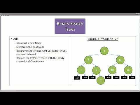 CSCE146 S2025 06 Binary Search Trees Part 01