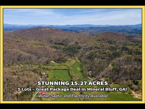 15.27 Acres - Twin Springs Rd, Mineral Bluff, GA, 30559