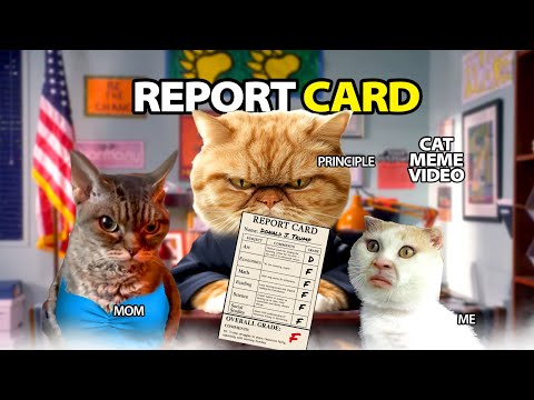 Cat meme video - Report Card