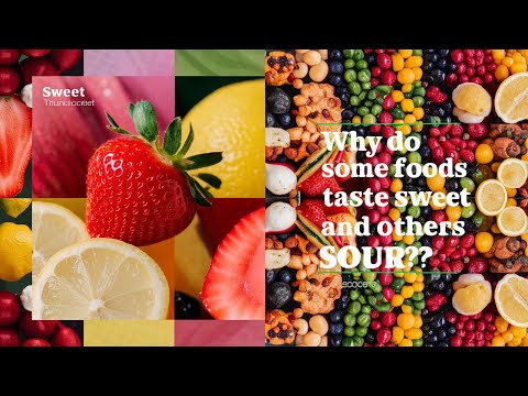 Why Do Some Foods Taste Sweet and Others Sour? Exploring Taste Sensations