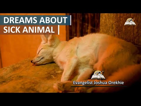 Biblical Meaning of Sick Animal - Seeing Sick Pet Animals