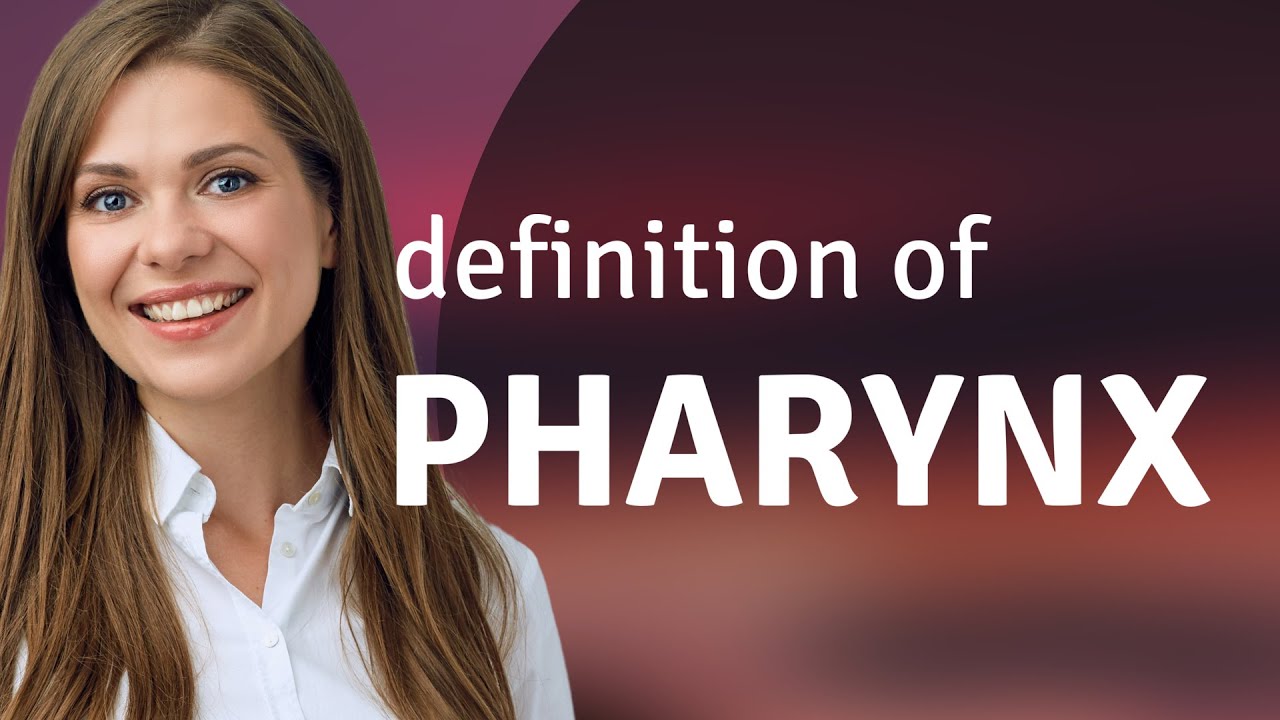 Pharynx — definition of PHARYNX