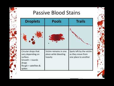 Blood Spatter Analysis