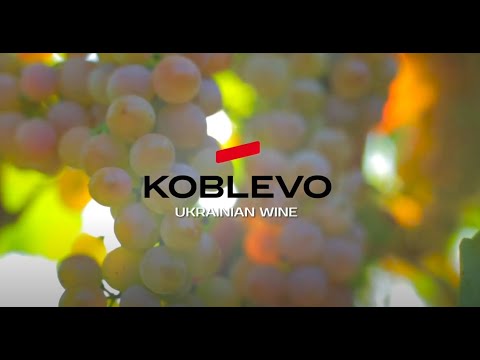 KOBLEVO - the best Ukrainian winery!