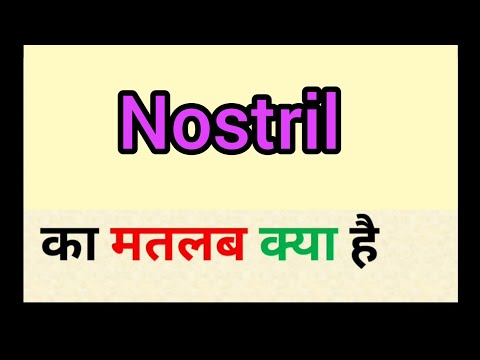 Nostril meaning in hindi || nostril ka Matlab kya hota hai || word meaning English to hindi
