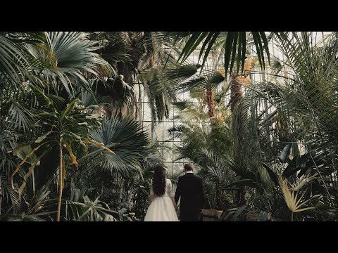 Florin & Denisa - PanasonicGH5 - Wedding Video and Wedding Photography