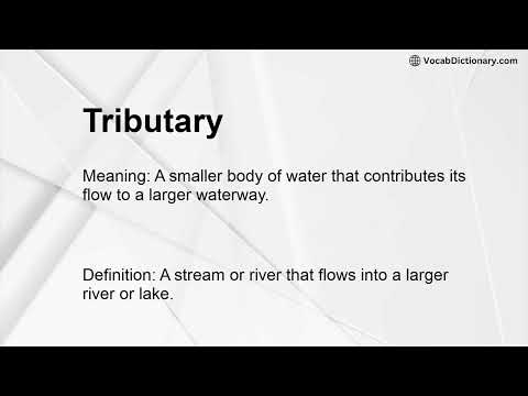 Tributary Meaning