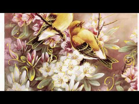 Cantecele - Zboara, fluturasul meu!